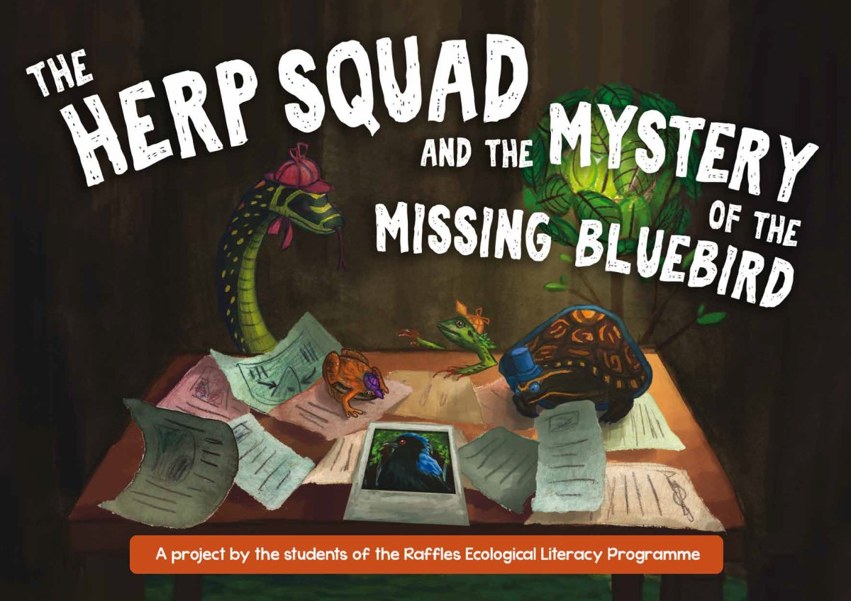 The Making of ‘The Herp Squad and the Mystery of the Missing Bluebird’ – Herpetological Society ...